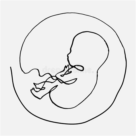 Infant In The Womb Single Line Drawing Vector Continuous Line Stock