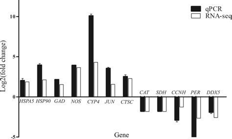 Rna Seq Data Validation By Quantitative Real Time Pcr Rt Qpcr The