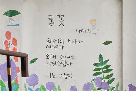Class101 풀꽃 시인 나태주의 시 이야기