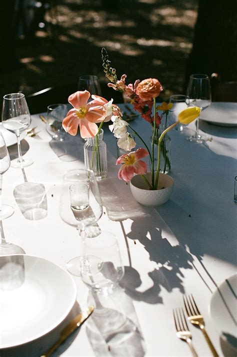 Photographer Amanda Noel