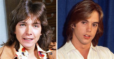 Shaun And David Cassidy The Annotated Gilmore Girls
