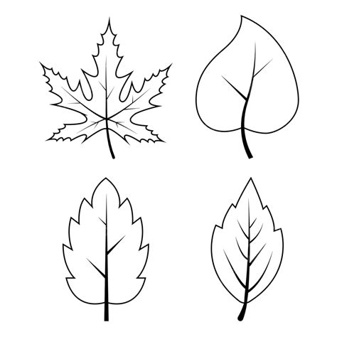 Fall Leaf Outline Png