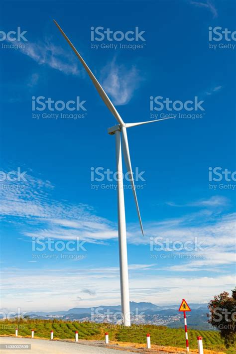 아름다운 푸른 하늘과 차 밭에 고립 된 재생 가능 에너지 풍력 터빈 풍차 0명에 대한 스톡 사진 및 기타 이미지 0명 경관 경제 Istock