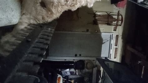 Hedge Trimmer Vs Plush Destruction Experiment FAIL ThisVid Com