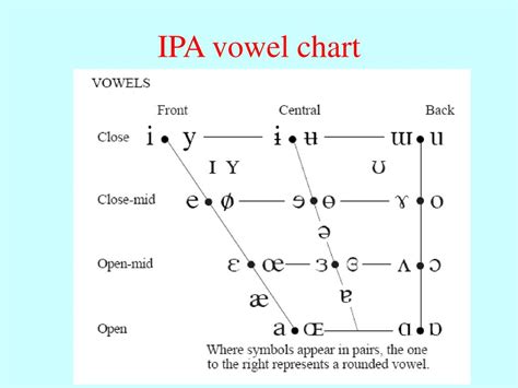 Spoken Language Phonetics Vowel Articulation Transcription Ppt Download