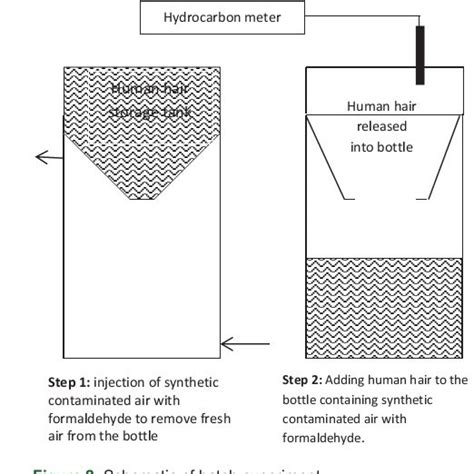 Schematic Of Batch Experiment Download Scientific Diagram