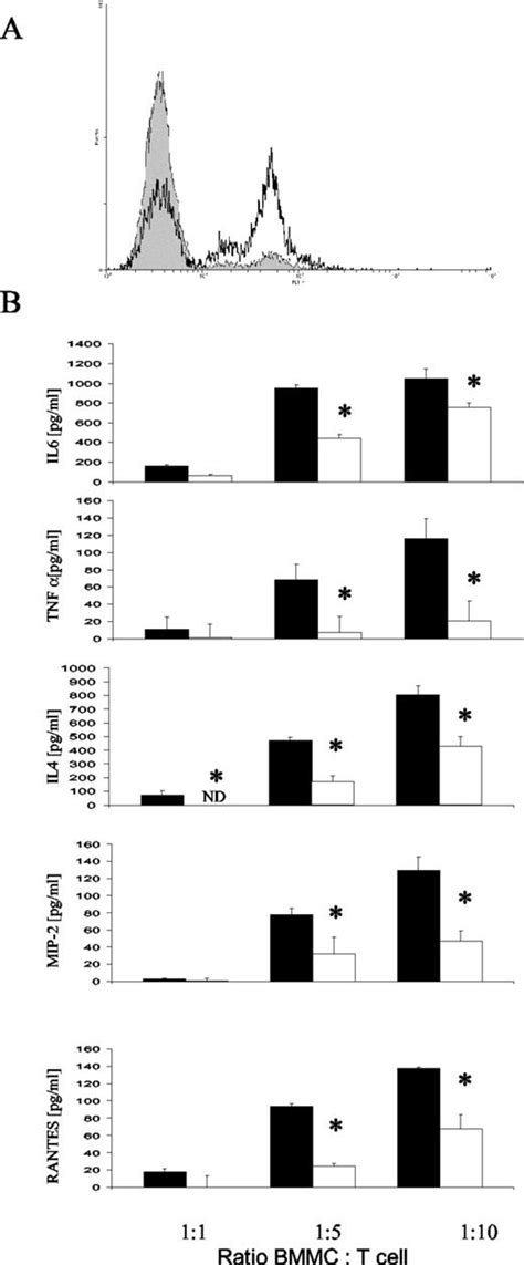 Lymphotoxin β Receptor Activation By Activated T Cells Induces Cytokine