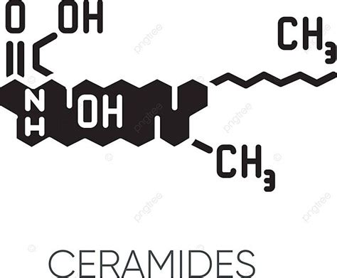Black Ceramide Chemical Structure For Dermatology Research Molecular Flat Symbol Vector