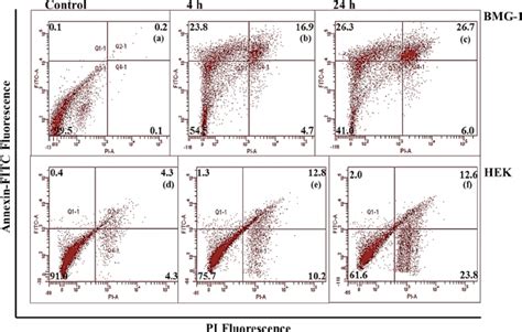 Flow Cytometric Plots Of Bmg 1 A B C And Hek D E F Cells In The Download Scientific