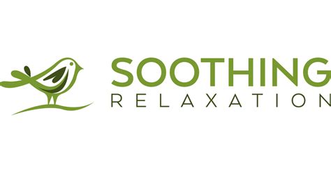 Flying By Peder B Helland Soothing Relaxation Videos