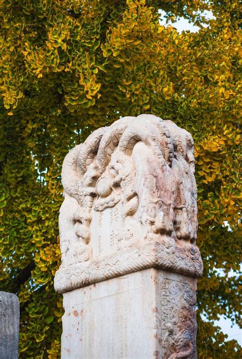 Ancient Stone Carvings Among Ginkgo Trees In The Golden Autumn Of