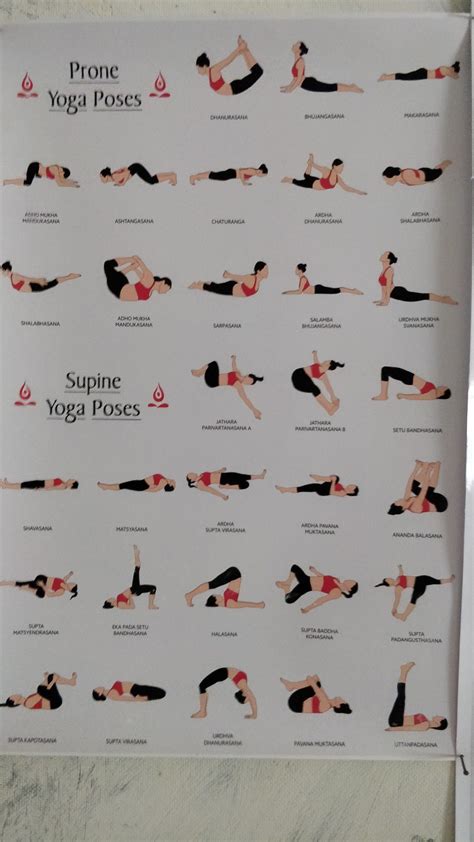 Sportaxis Yoga Poses Poster 64 Yoga Asanas For Full Body Workout