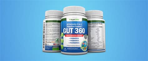 Probiotics Prebiotics Digestive Enzymes Gut 360 Nutrionn Supplements