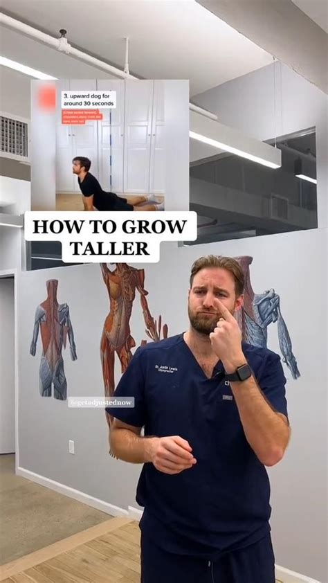 Stretches That Help You Grow Taller Artofit
