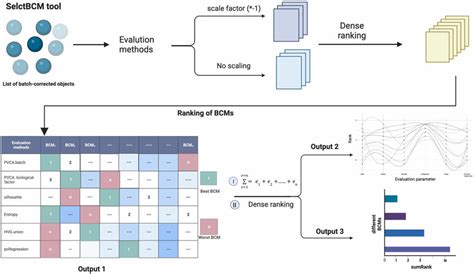 Diagrammatic Schema For Ranking Of Bcms Selectbcm First Uses Various