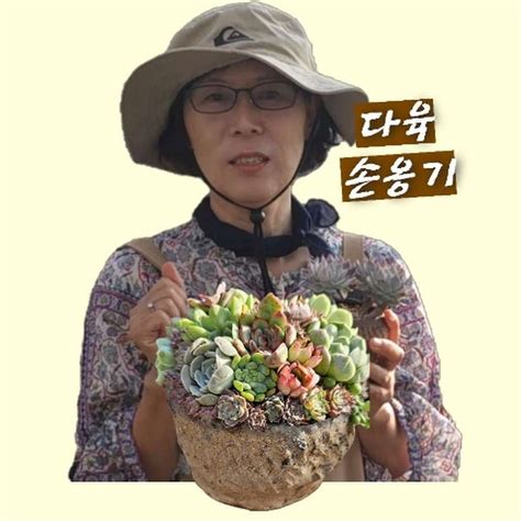 다육손옹기 Korean Succulent Plants Youtube