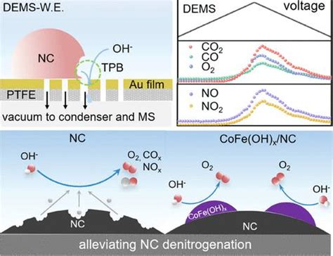 碱性介质中氮掺杂碳催化剂电化学脱氮及其缓解的操作研究 Acs Catalysis X Mol