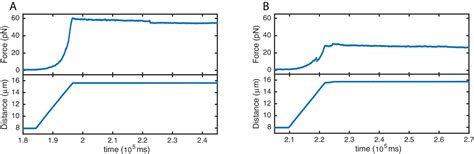 Figures And Data In Single Molecule Observation Of Dna Compaction By