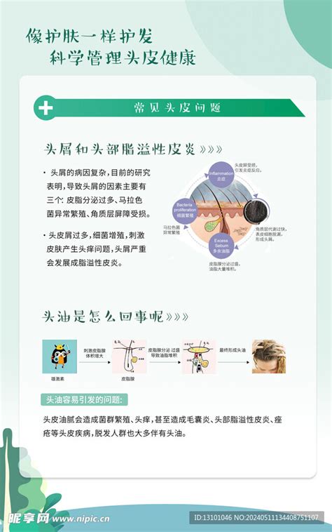 常见头皮问题设计图 海报设计 广告设计 设计图库 昵图网