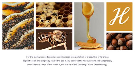 Hazel Honey Brand Identity Behance