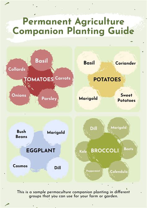 Printable Companion Planting Chart Knutshizad 80325 Hot Sex Picture