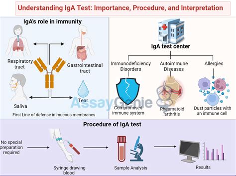 Understanding Iga Test Importance Procedure And Interpretation