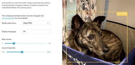 5 Things To Know Before Customizing Your First Machine Learning Model