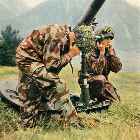 West German Bundeswehr Splinter Camouflage 1956
