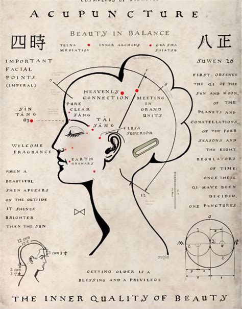 Pin By Isabel Loen On 针灸 Acupuncture Acupuncture Points Chart Accupuncture