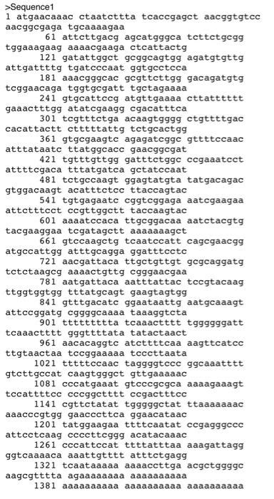 Solved Align The Given Sequences With Blast Seq Paste Chegg