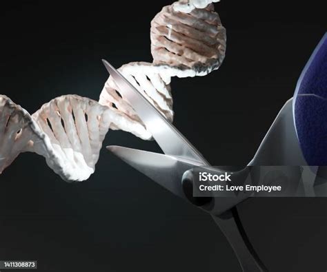 Crispr은 유전자를 편집하는 데 사용할 수 있는 기술입니다 가위가있는 Dna 가닥 나선 절단 카스9에 대한 스톡 사진 및
