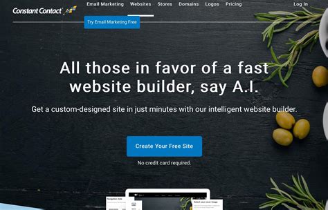 10 best drag and drop website builders 2025 pros and cons
