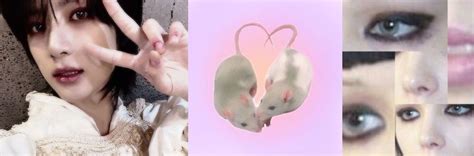 Pin On Aesthetic Twitter Header Header Layout