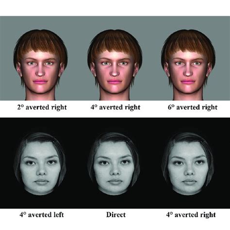 Examples Of Gaze Direction Stimuli In Experiment 1 A And Experiment
