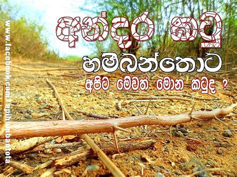 අපි හම්බන්තොට Like