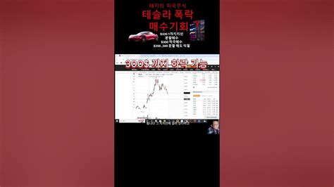 형님들 ~ 테슬라주식 지금이 기회 미국주식 테슬라주가전망 테슬라하락 Youtube