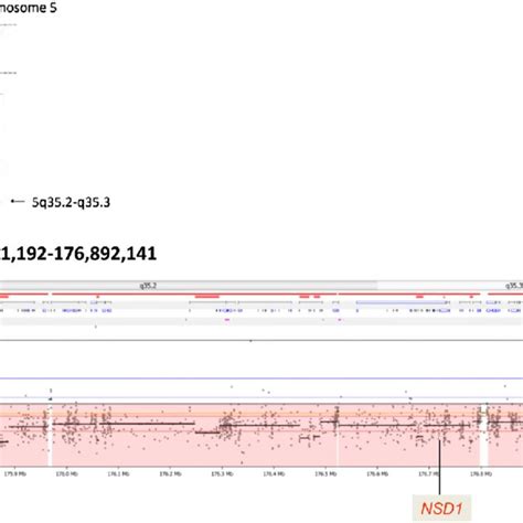 Array Comparative Genomic Hybridization On The Dna Extracted From The Download Scientific