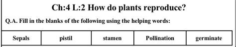 Ch4 L2 How Do Plants Reproduce 4th Grade Quiz Quizizz