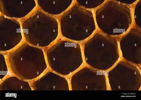Bee Hive Structures Hi Res Stock Photography And Images Alamy