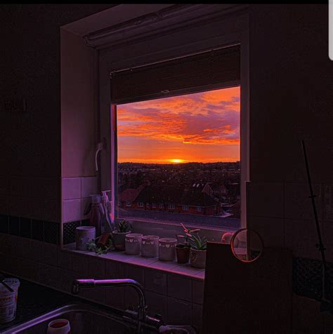 Purple Umbrella Boiron