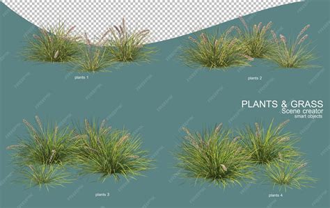 Premium Psd 3d Rendering Of Grass And Shrub Arrangements