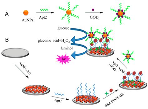 Research Progress On Bionic Recognition And Biosensors For The