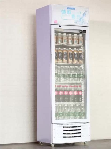 Kabinet Paparan Minuman Lechuang Kabinet Penyimpanan Sejuk Kabinet