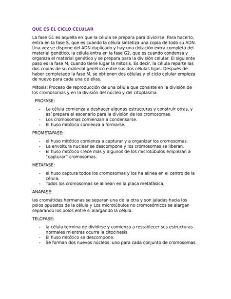 Que Es El Ciclo Celular Que Es El Ciclo Celular La Fase G1 Es Aquella