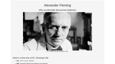 Codepen A Pen By Hiddenprofile619