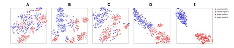 Feature Visualization Diagram A Original Distribution Of The Download Scientific Diagram