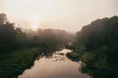 Barta River At Dawn With Fog And Soft Morning Light Latvia Free