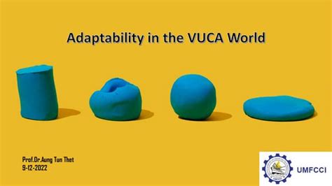 Adaptability On The Situation On People Lifepdf