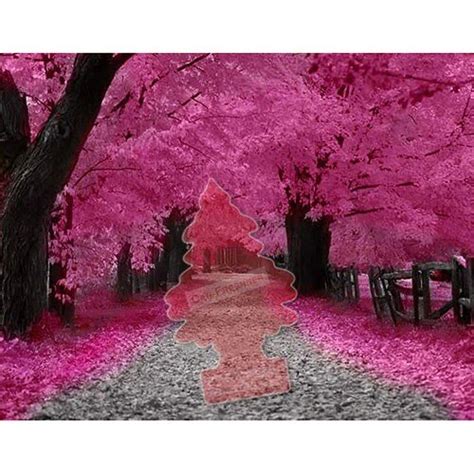 有限会社オレンジカウンティ Cherry Blossom Honey チェリー・ブロッサム・ハニー