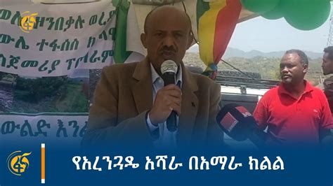 የአረንጓዴ አሻራ በአማራ ክልል Youtube